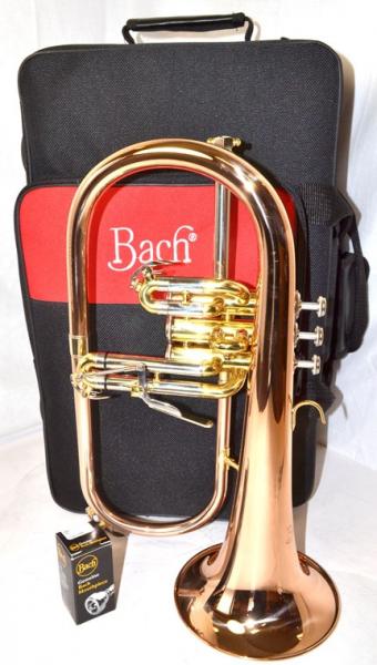 Student flugelhorn BACH FH501 Musique et Art